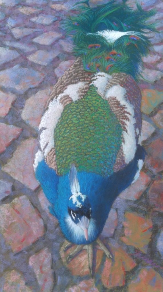 Margaret Ferraro - Pastel Artists.CA