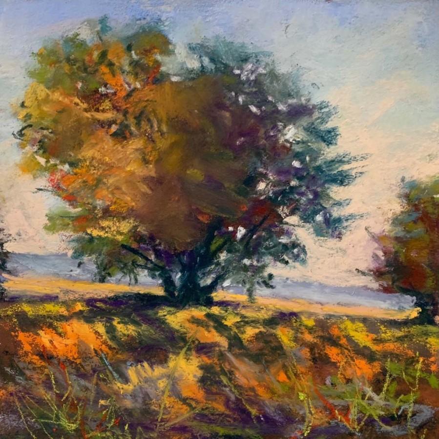 2019 7th Annual Online Member Juried Exhibition - Pastel Artists.CA